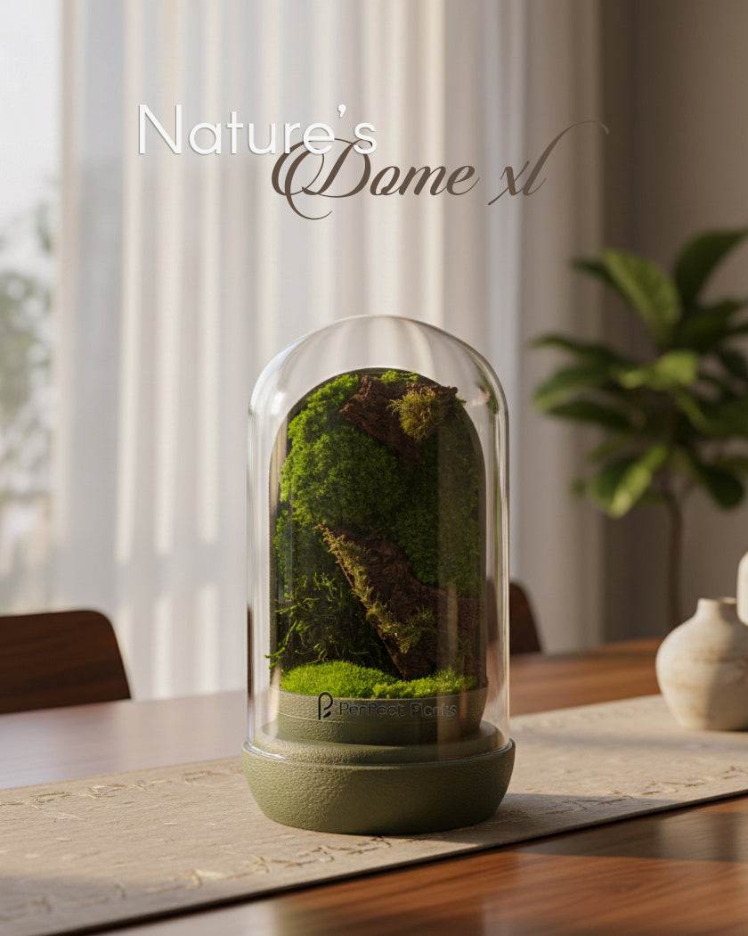 Nature's Dome XL